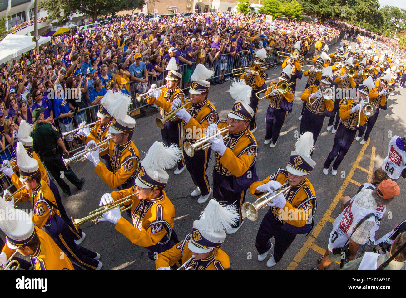 Golden band from tigerland hi-res stock photography and images - Alamy