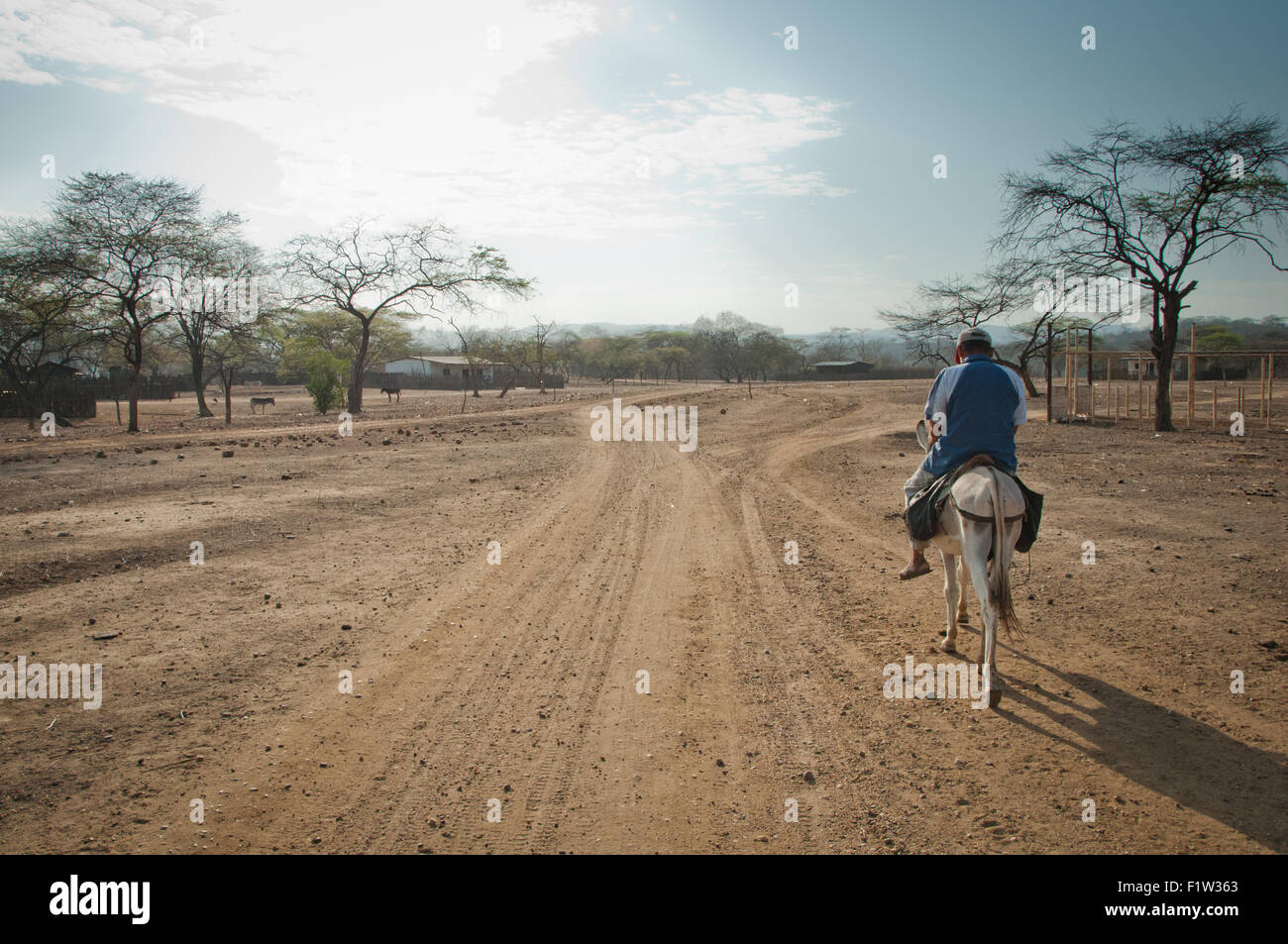 Donkey track hi-res stock photography and images - Alamy