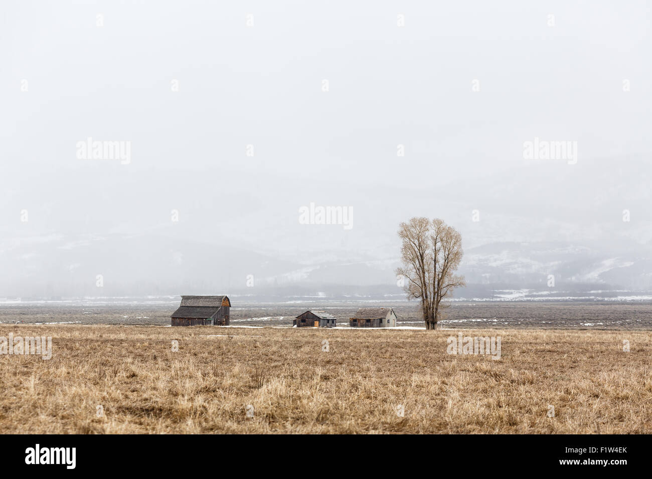 Farmhouse Barn Snow Landscape High Resolution Stock Photography and ...