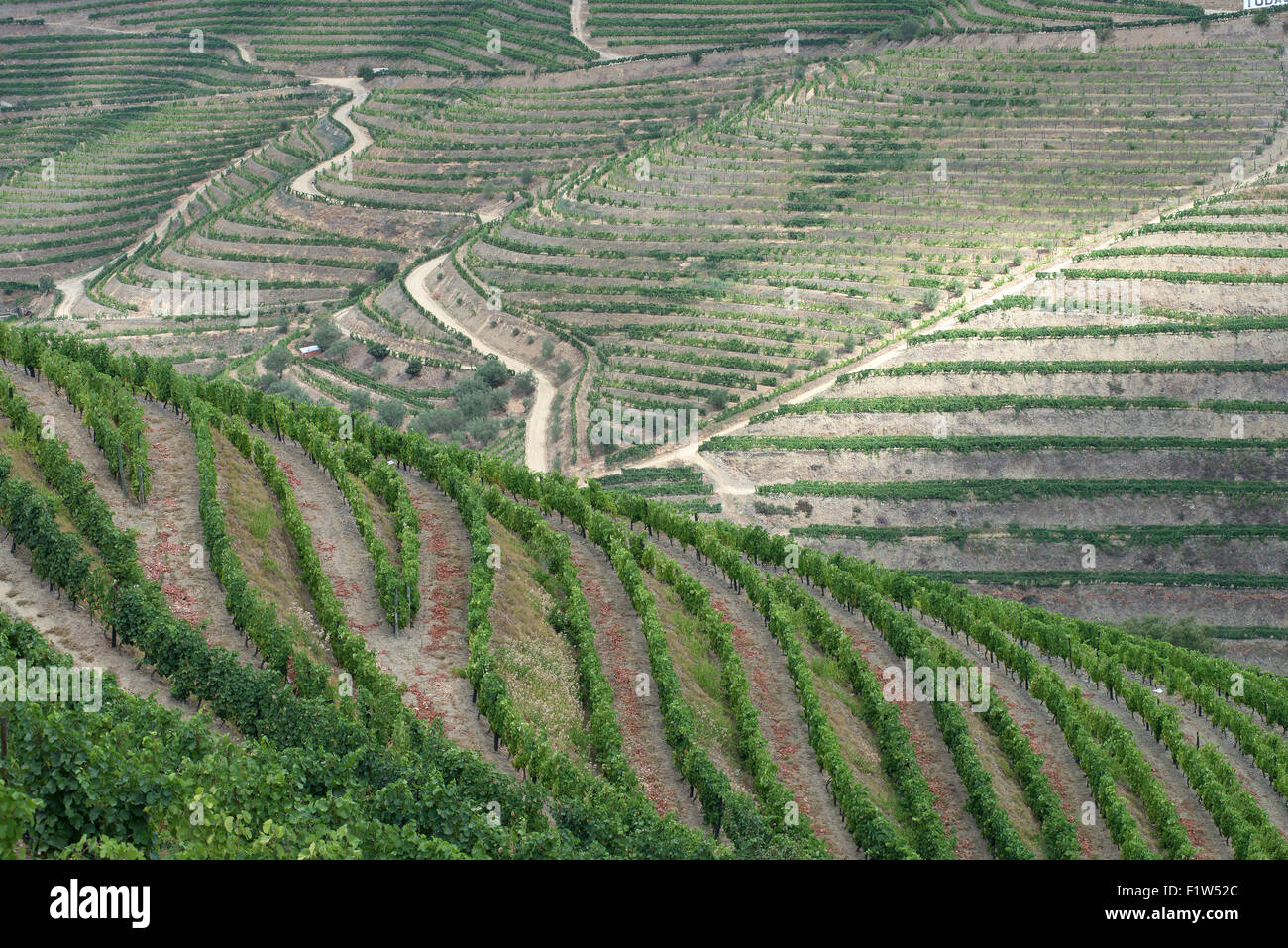 Meandering lines hi-res stock photography and images - Alamy