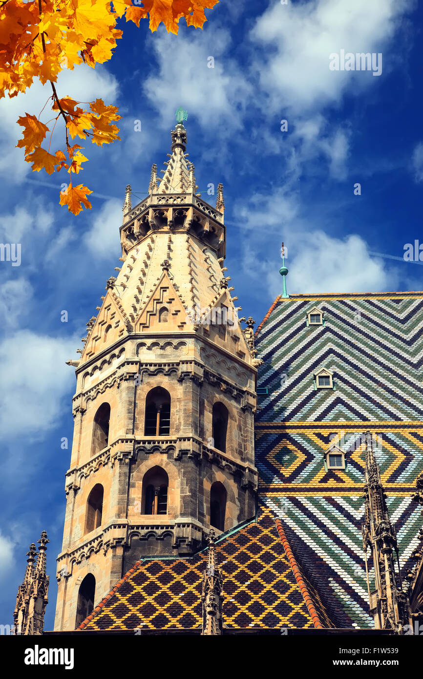 St. Stephan cathedral in Vienna Stock Photo - Alamy