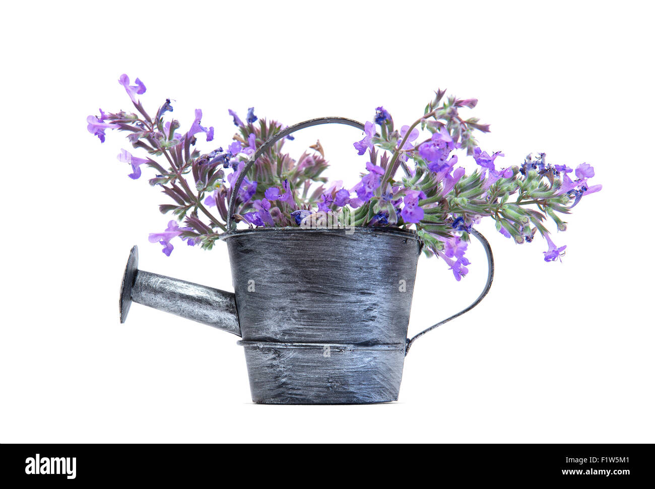 Sprinkling flowers hi-res stock photography and images - Alamy