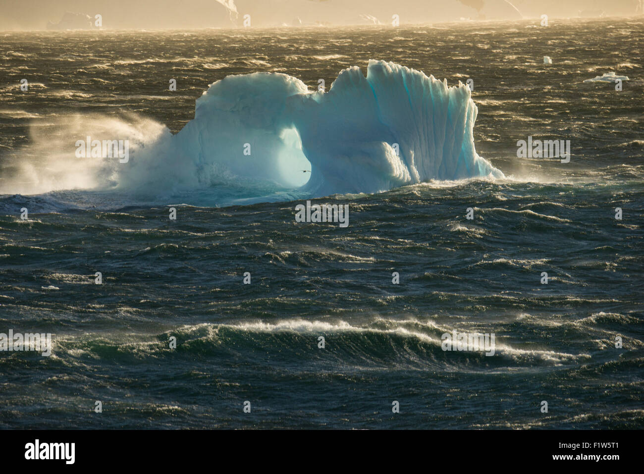 Antarctica wind hi-res stock photography and images - Alamy