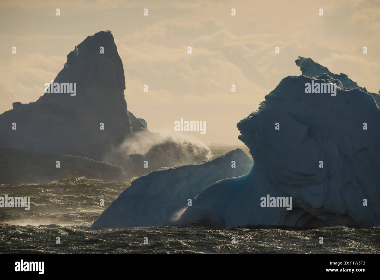 A blue iceberg in early morning light during a strong wind event in ...