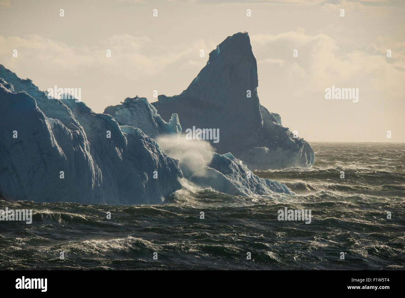 A blue iceberg in early morning light during a strong wind event in ...