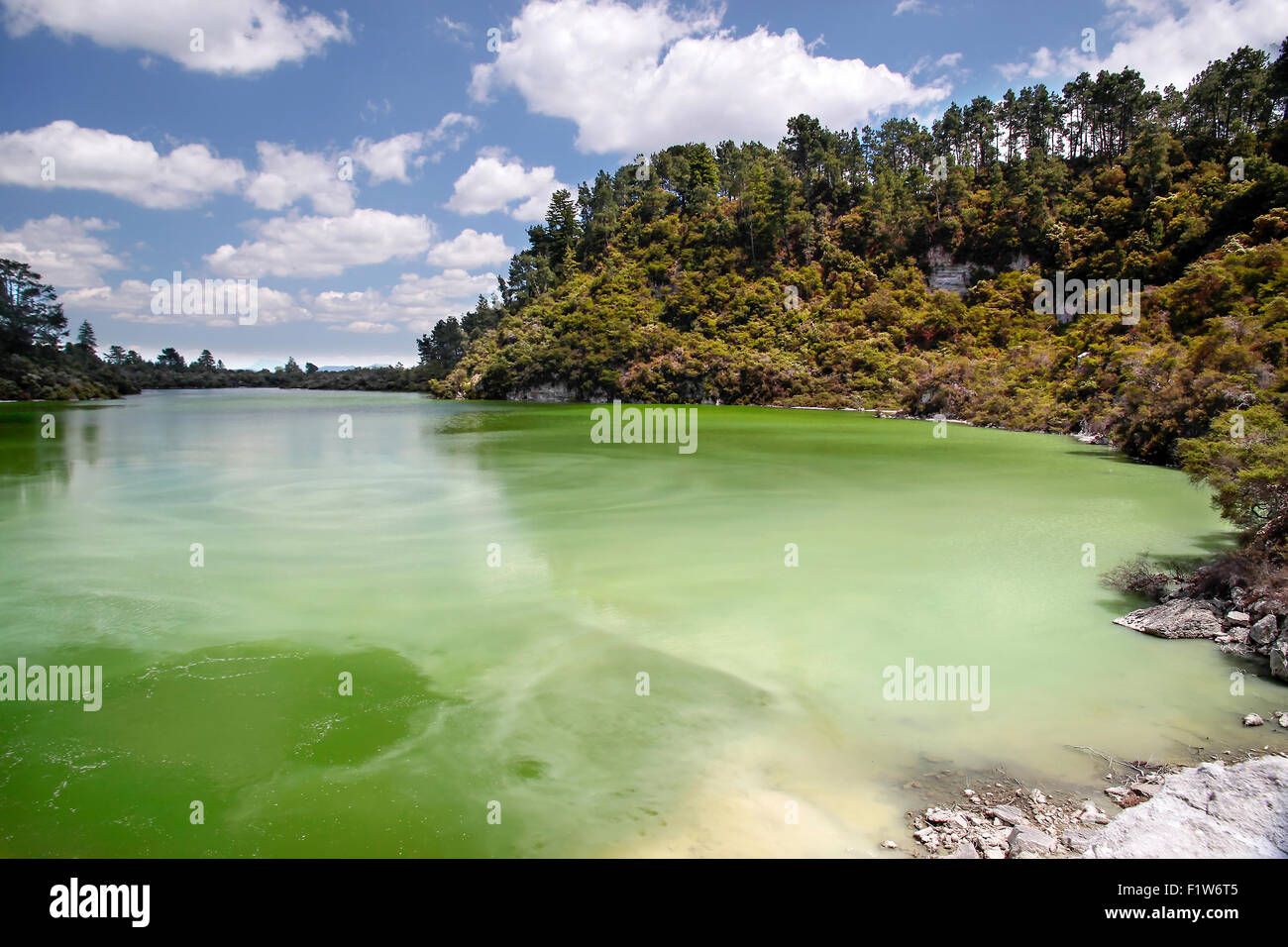 Wai-o-Tapu geothermal area in Rotorua, North Island, New Zealand Stock ...