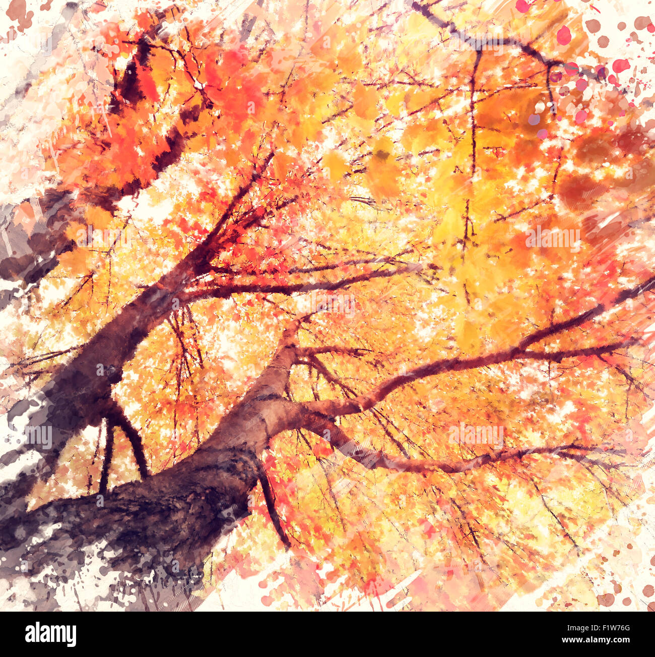 Digital Painting Of Autumn Trees Stock Photo - Alamy