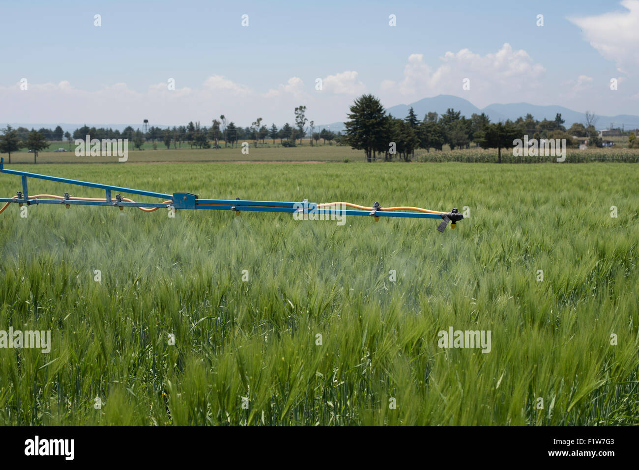 Fumigation hi-res stock photography and images - Alamy