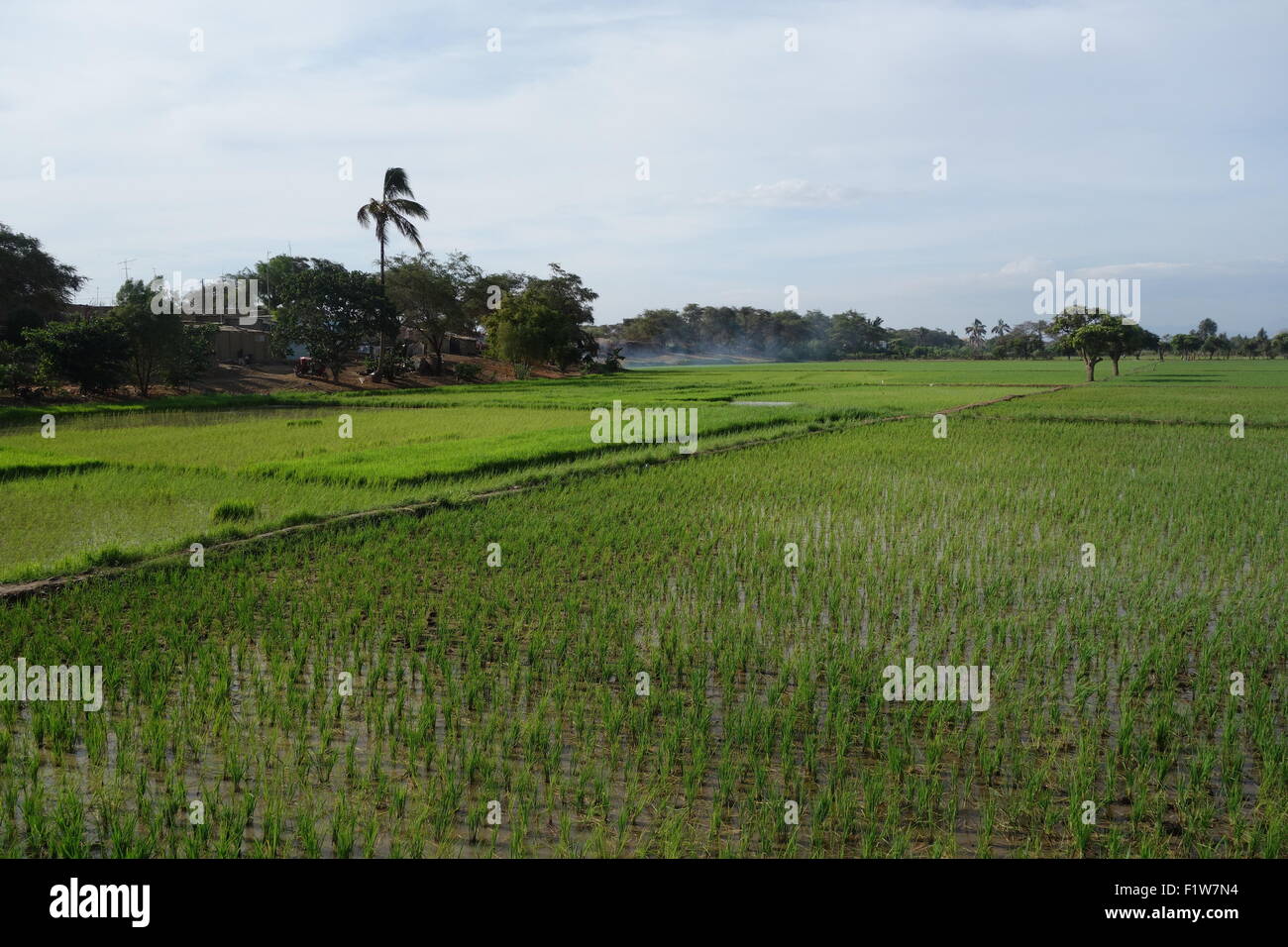 Fields peru hi-res stock photography and images - Alamy