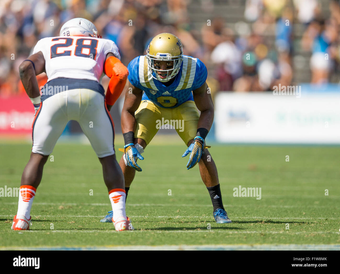 Marcus rios hi-res stock photography and images - Alamy