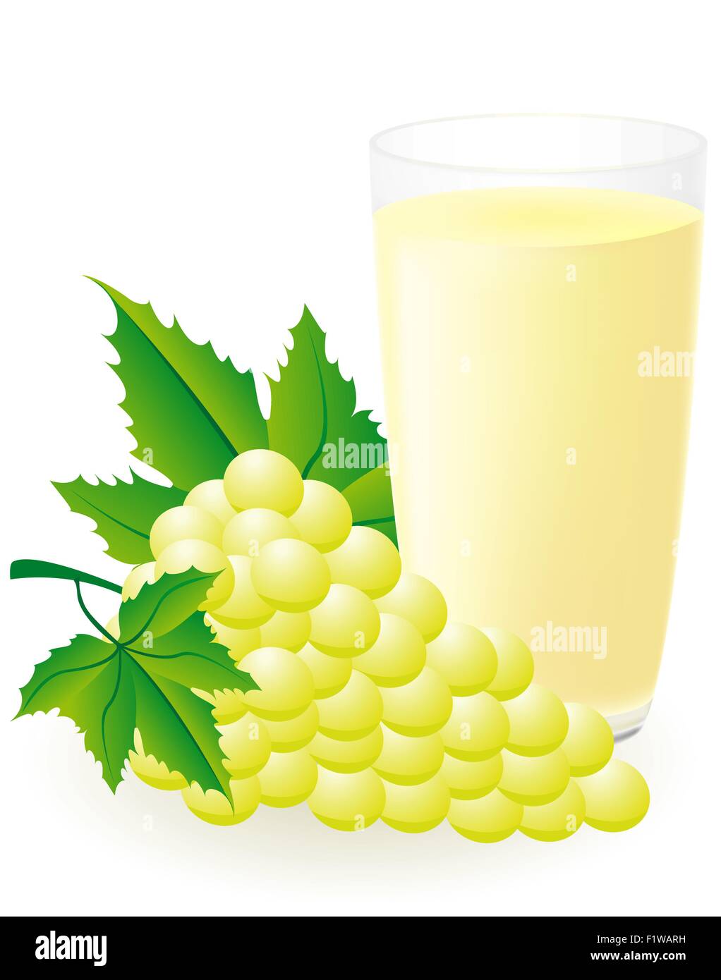 white grape juice vector illustration isolated on white background ...