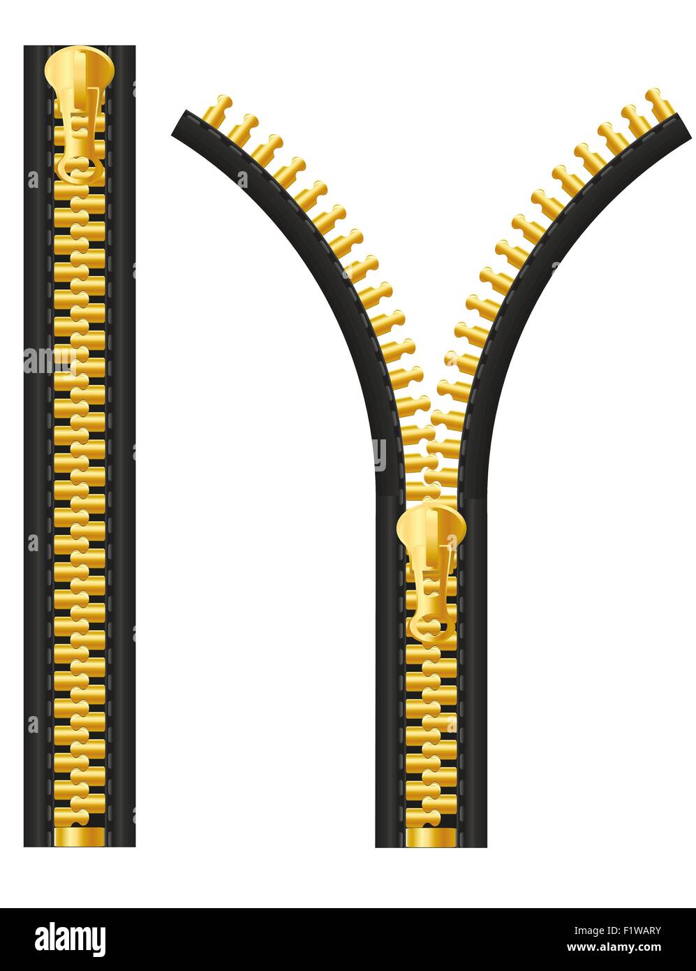 zipper vector illustration isolated on white background Stock Vector ...