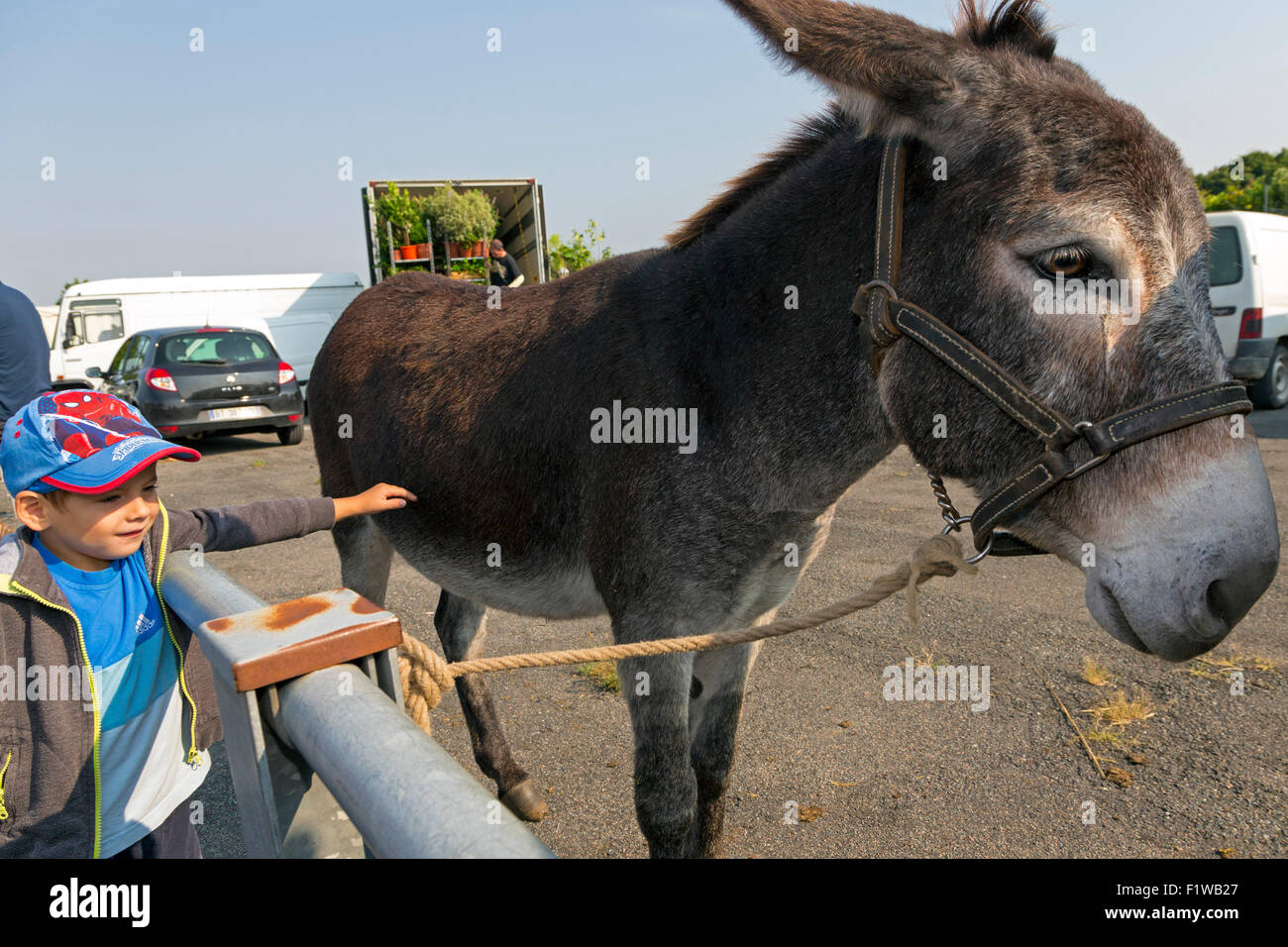 Child and donkey hi-res stock photography and images - Alamy