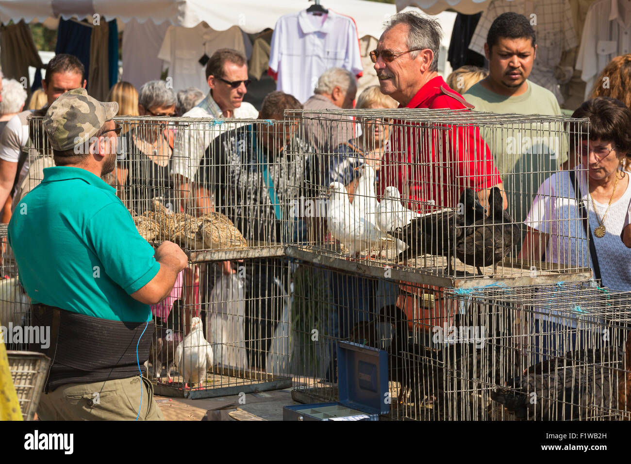 Poultry stall at monthly market at Rouillac, Charente Maritime, south ...