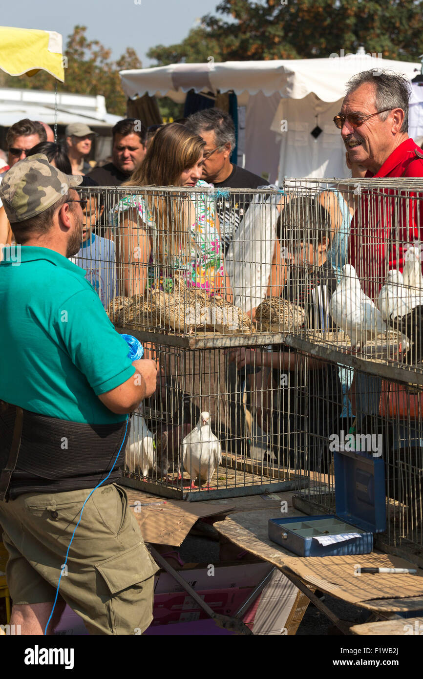 Poultry stall at monthly market at Rouillac, Charente Maritime, south ...