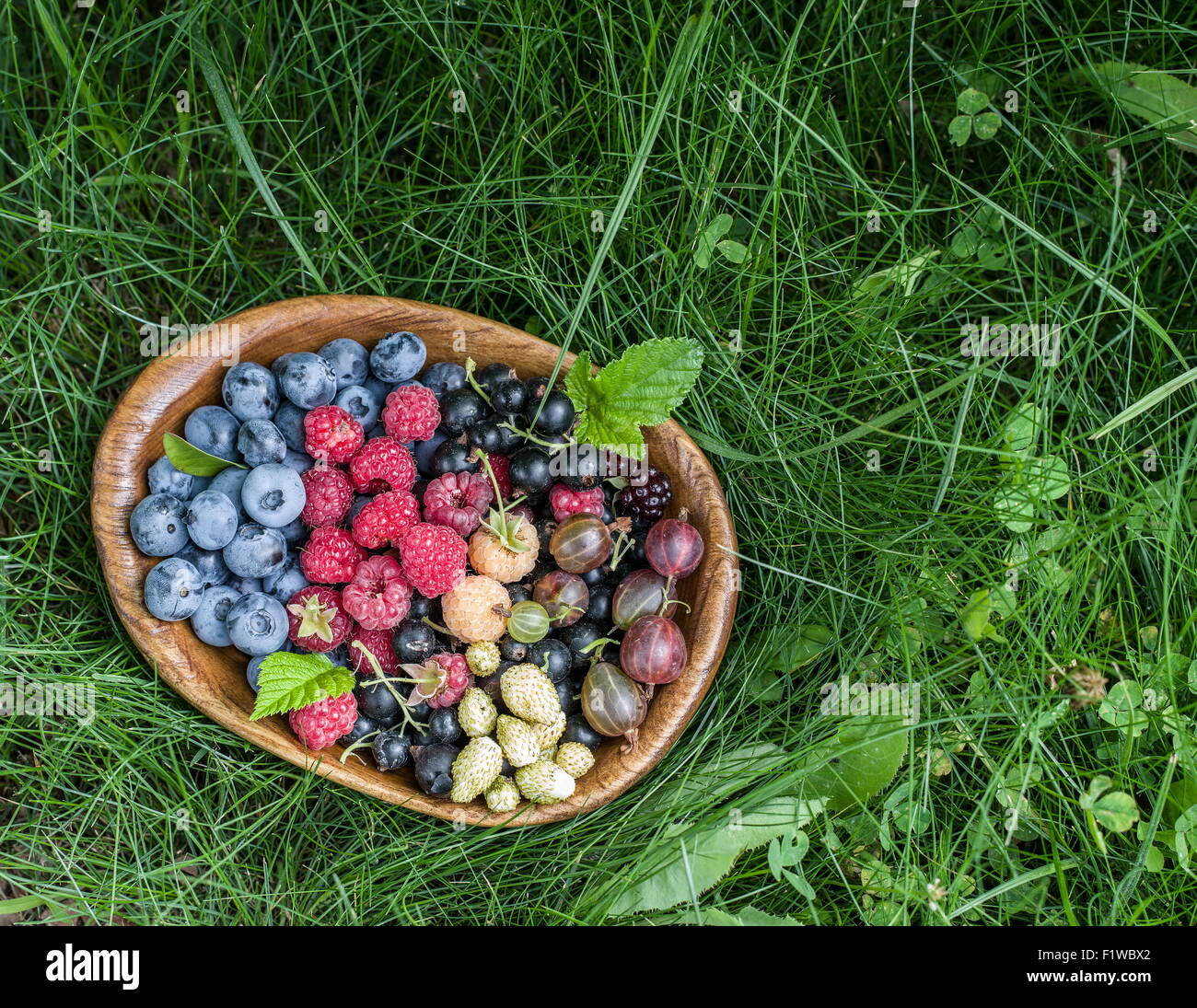 Berries in grass hi-res stock photography and images - Alamy