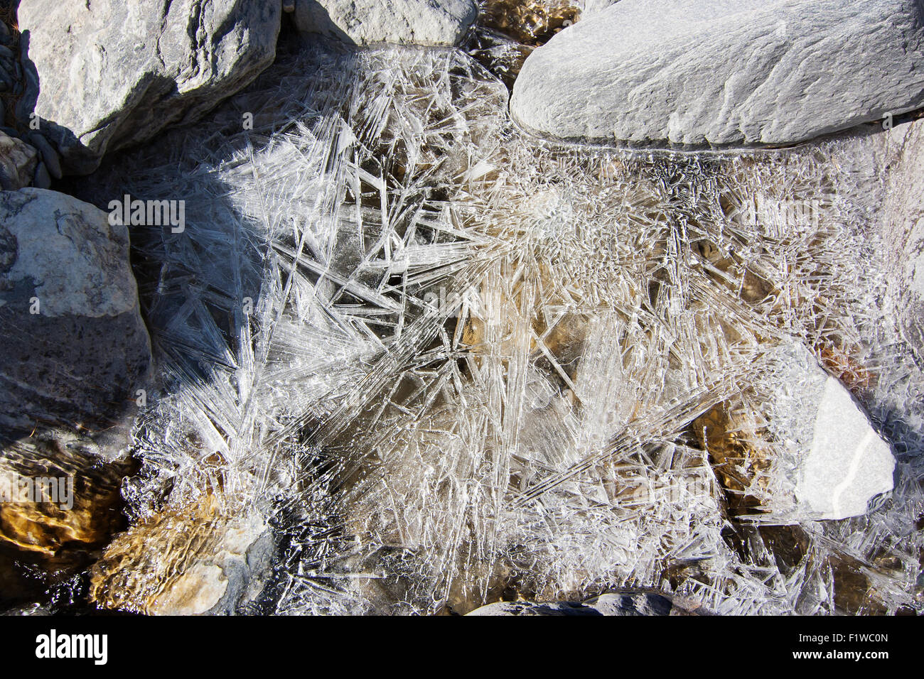 Thin stream crystal clear water hi-res stock photography and images - Alamy