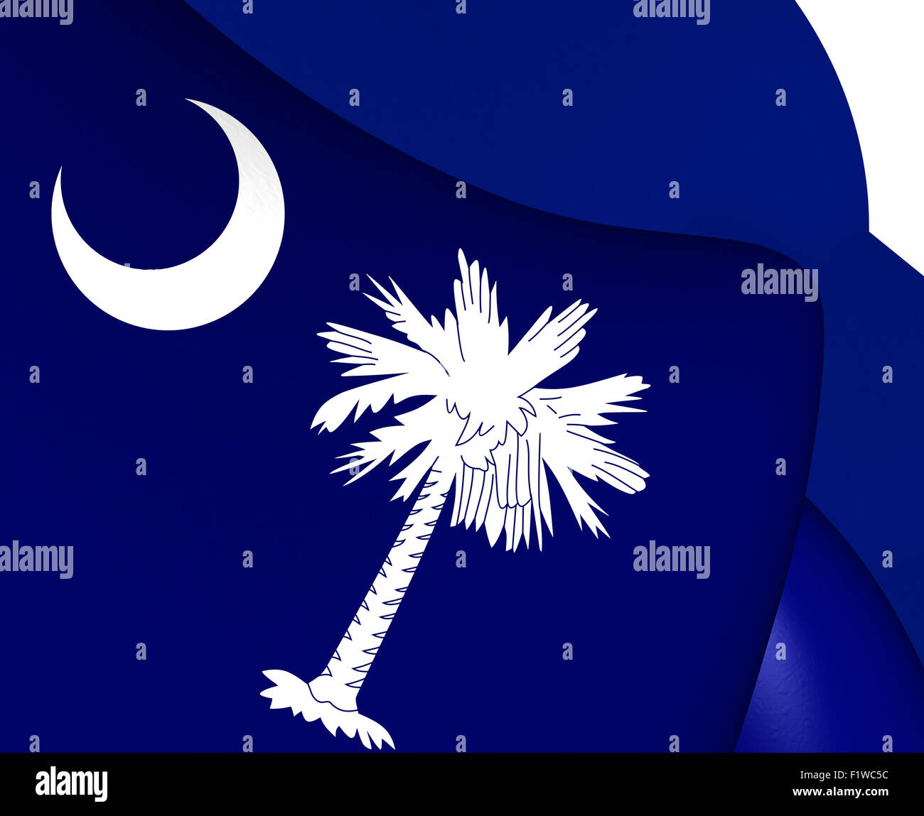 Cartoon illustration state south carolina hi-res stock photography and ...