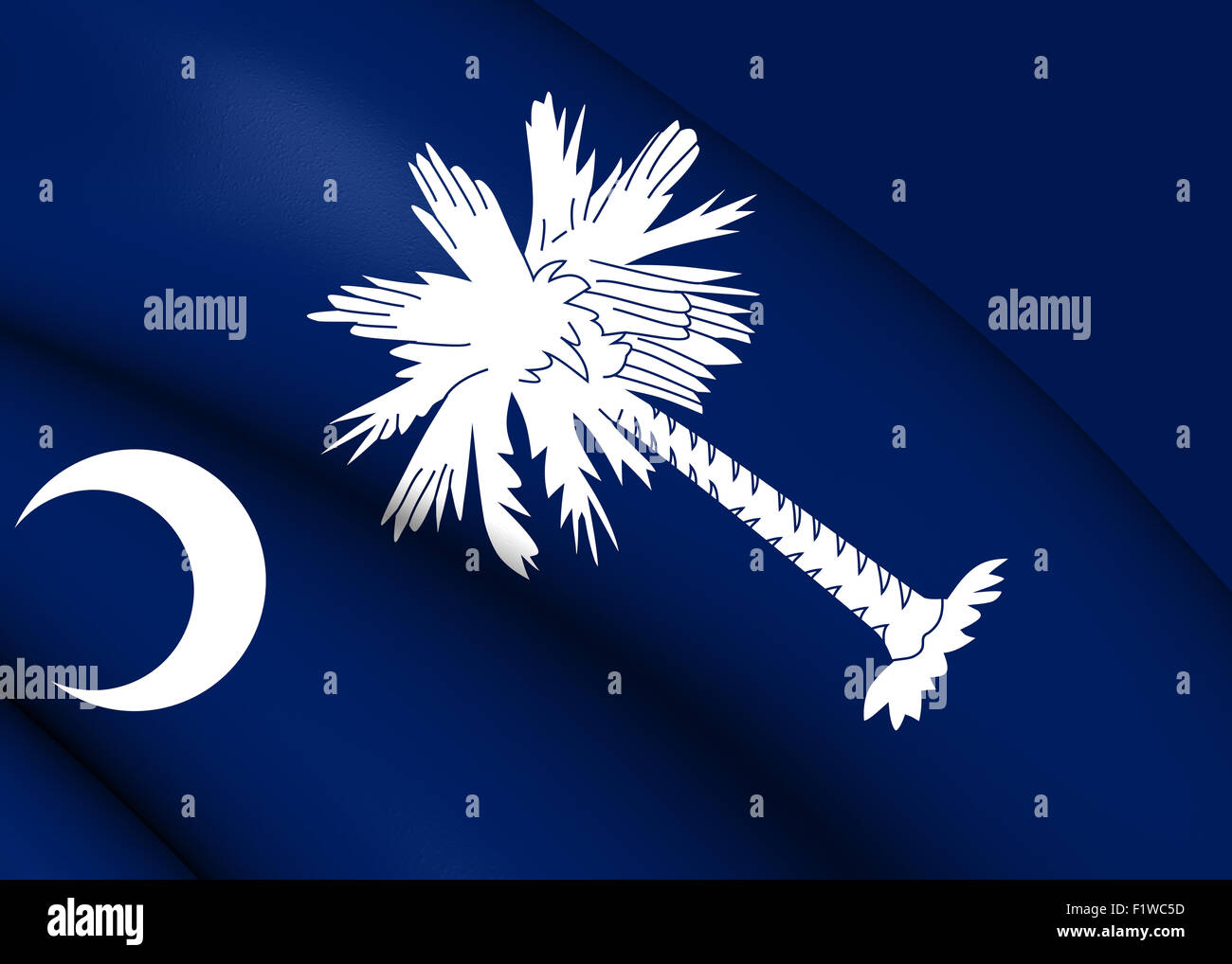 Cartoon illustration state south carolina hi-res stock photography and ...