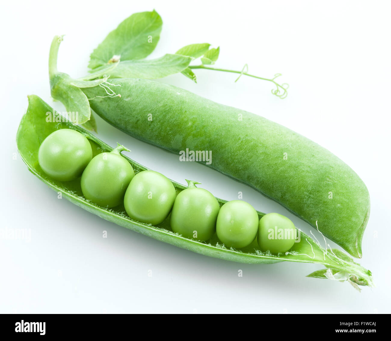 Open pea pod on a white background Stock Photo - Alamy