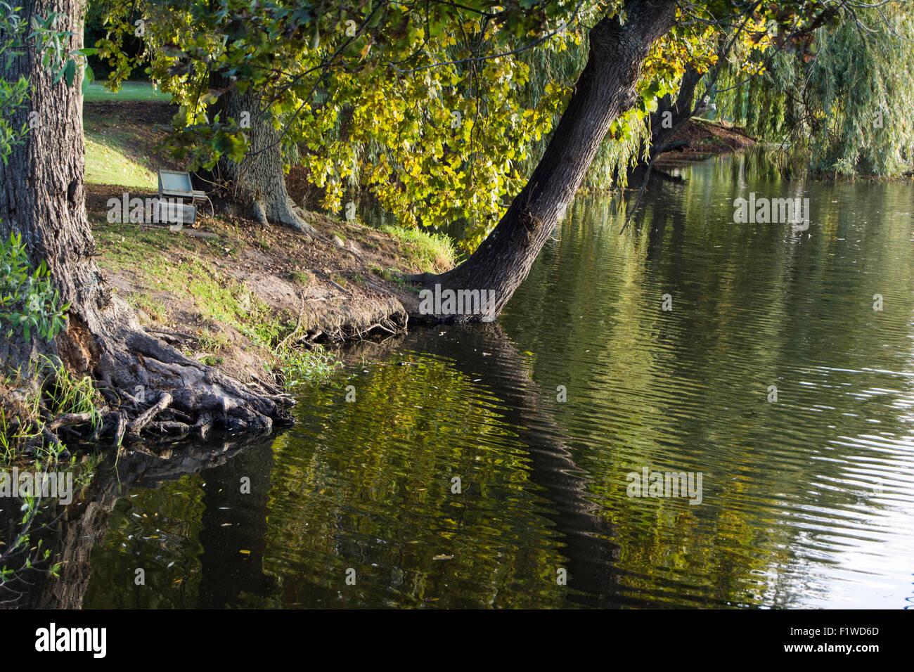 Peace peaceful setting hi-res stock photography and images - Alamy