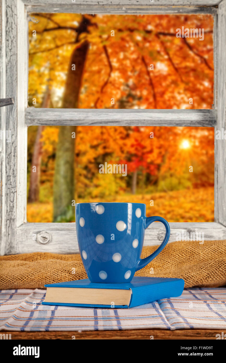 Vintage wooden window overlook autumn trees Stock Photo - Alamy