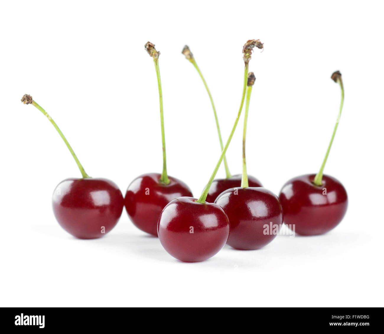 Ripe cherry on white background Stock Photo - Alamy