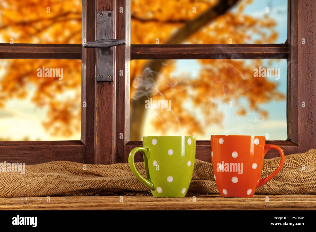 Vintage wooden window overlook autumn trees Stock Photo - Alamy