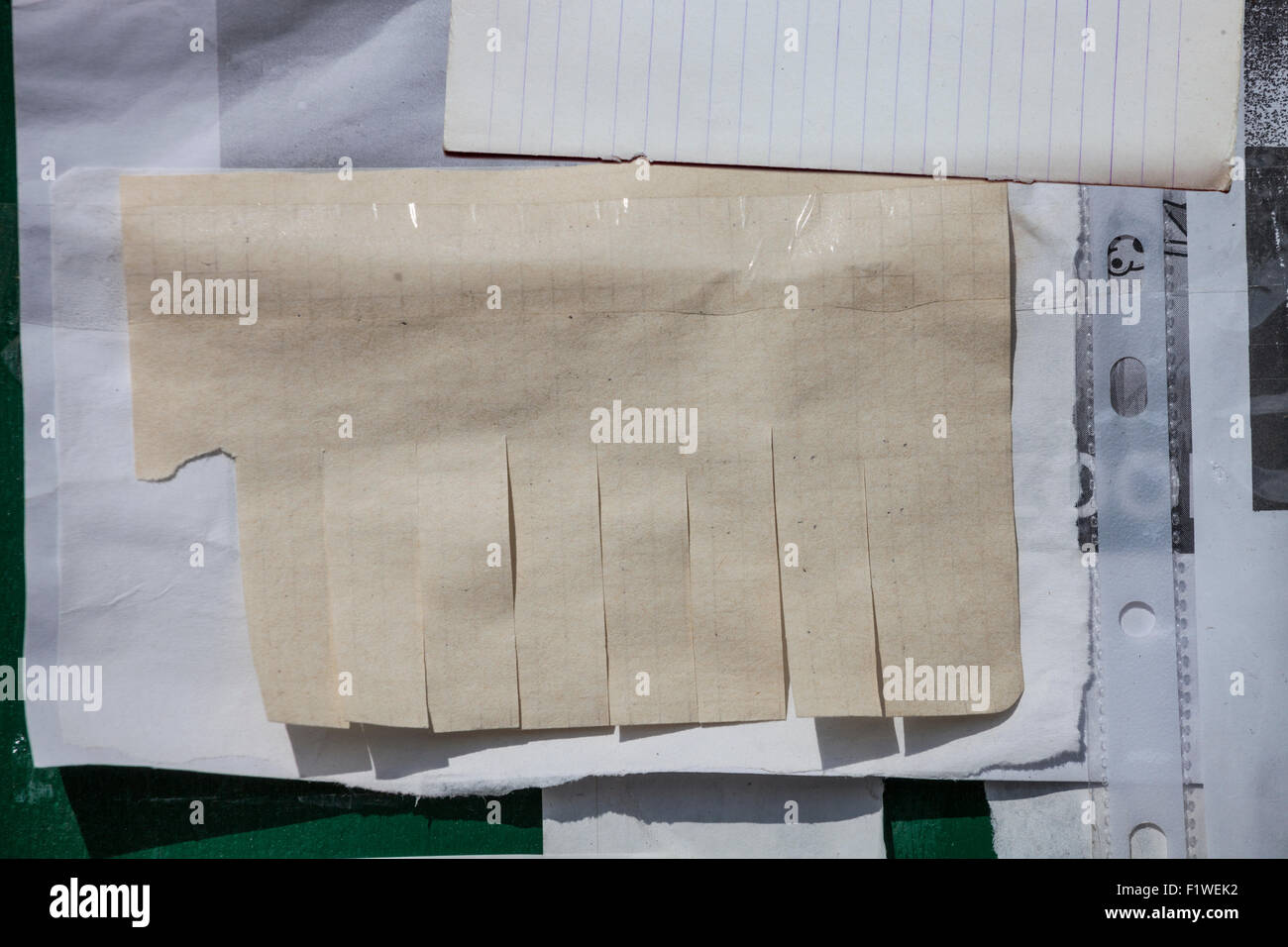 Damaged leaflet hi-res stock photography and images - Alamy