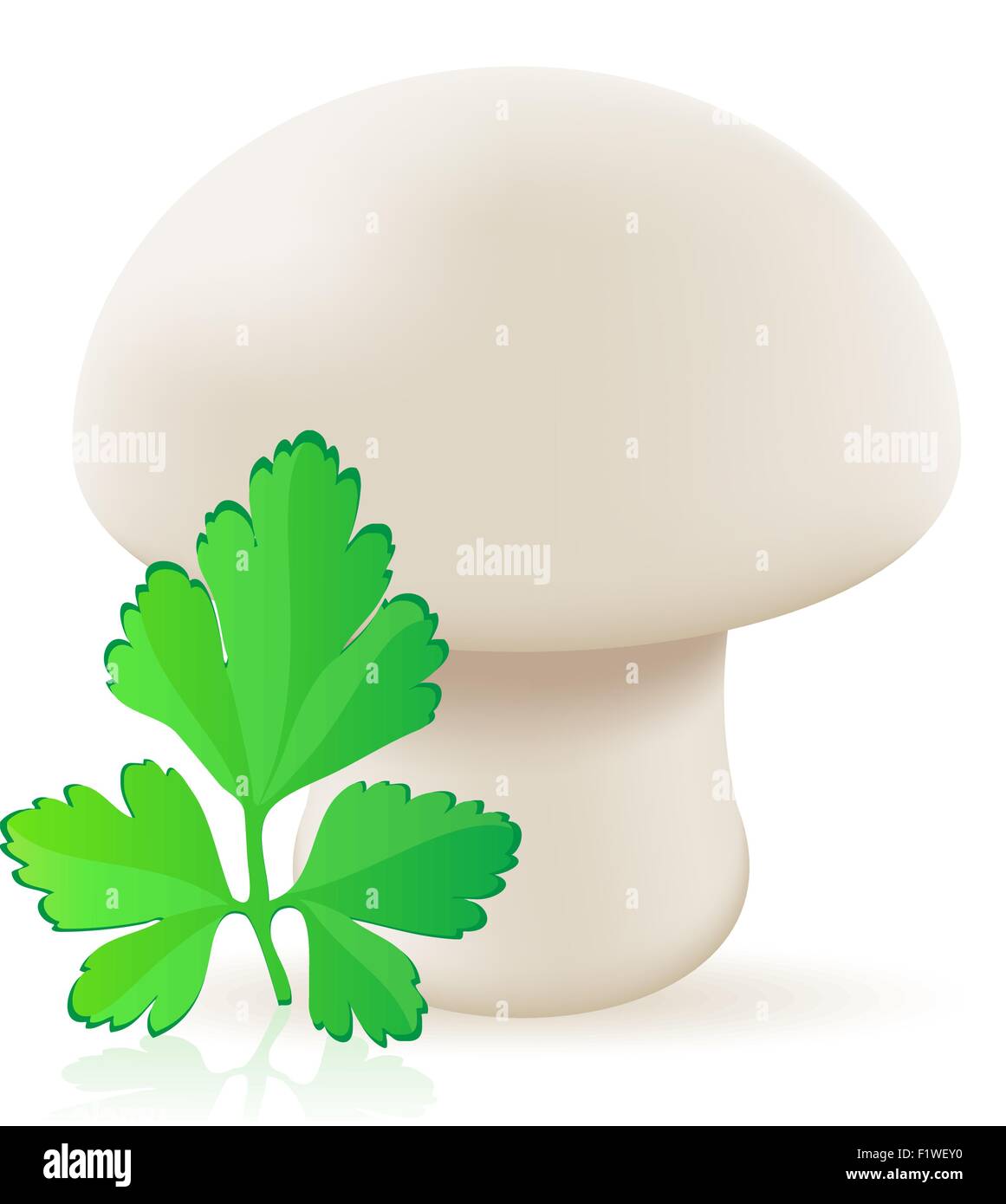 mushroom champignon vector illustration isolated on white background ...