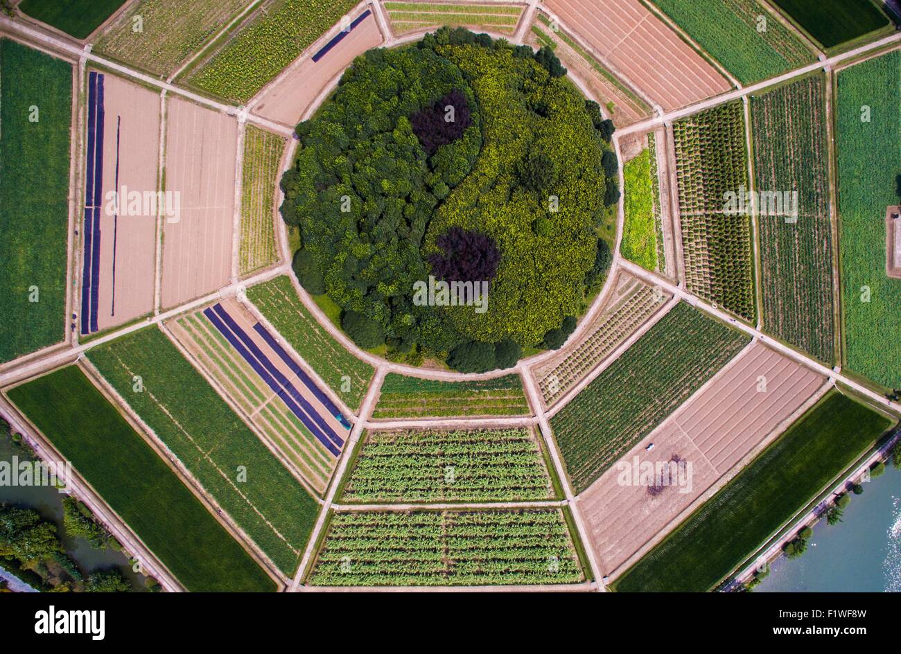 The eight diagrams hi-res stock photography and images - Alamy