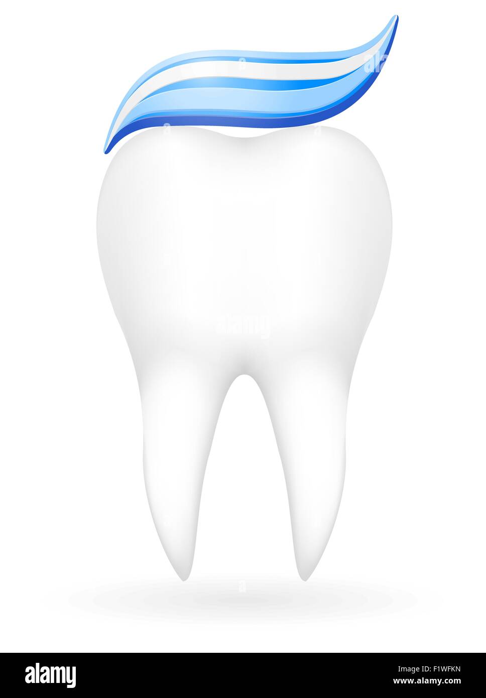 tooth vector illustration isolated on white background Stock Vector ...