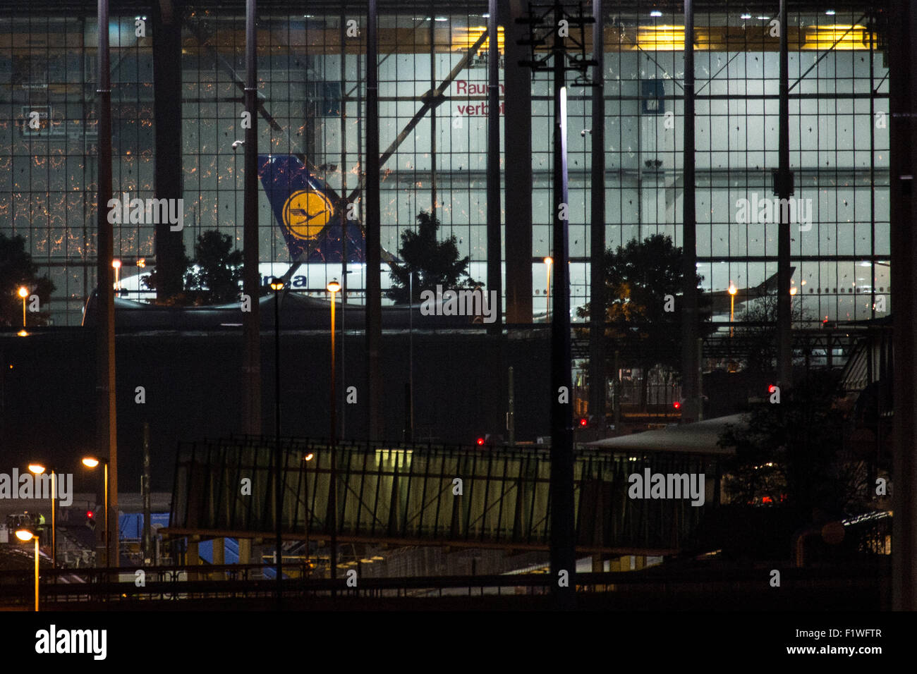 Lufthansa airplanes have been parked in a hangar at the international ...