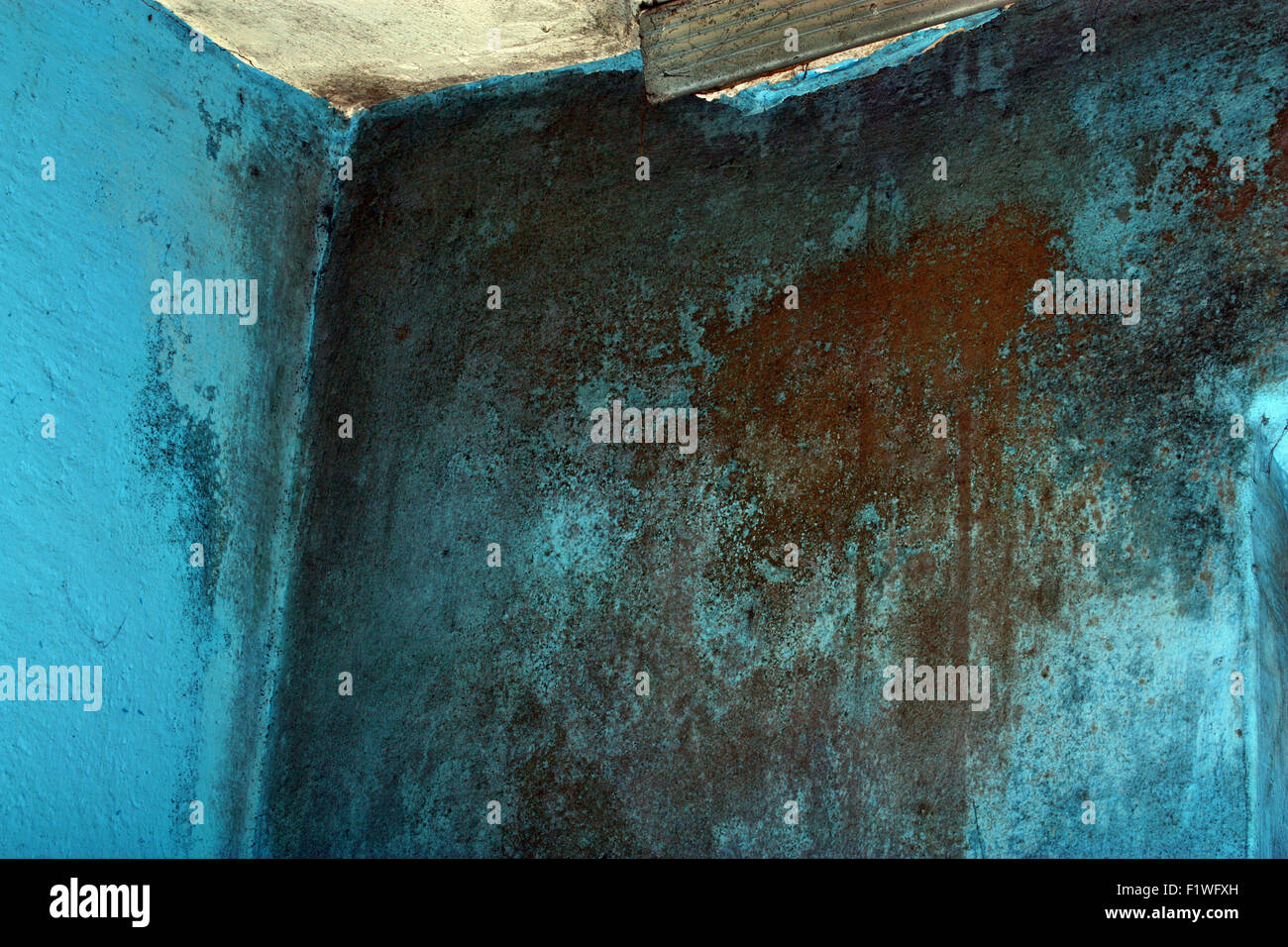 Dangerous mold fungus on wall hi-res stock photography and images - Alamy