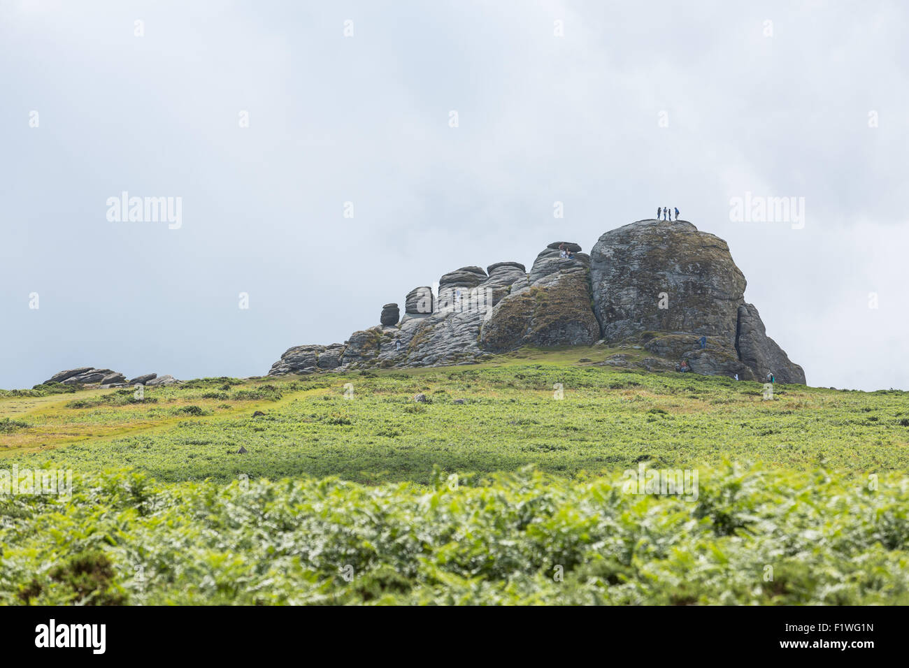 Haytor Rock, Dartmoor Park, Devon, UK Stock Photo - Alamy