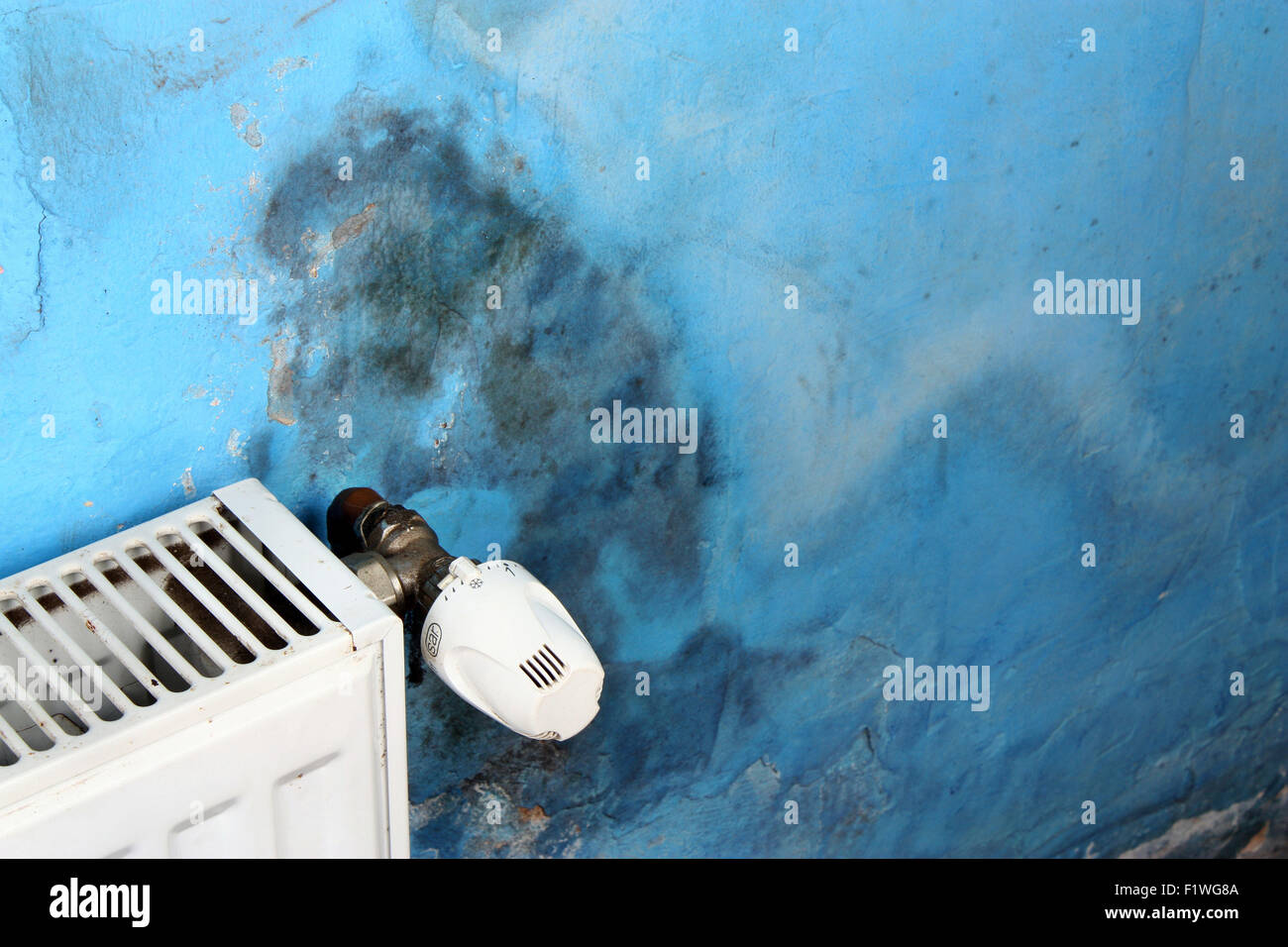 Dangerous mold fungus on the wall in a room near a heater Stock Photo ...