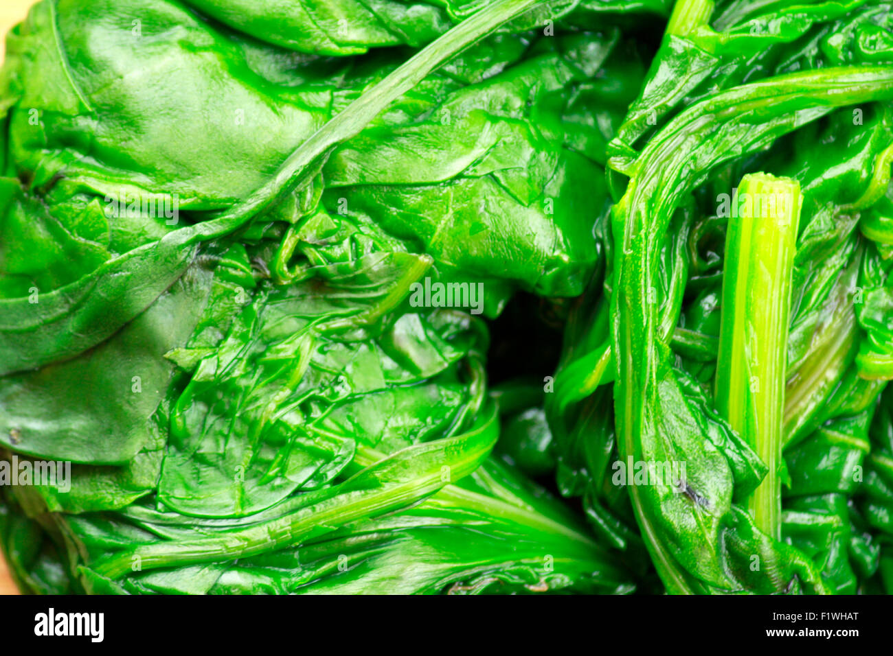 Leafy green leaves hi-res stock photography and images - Alamy