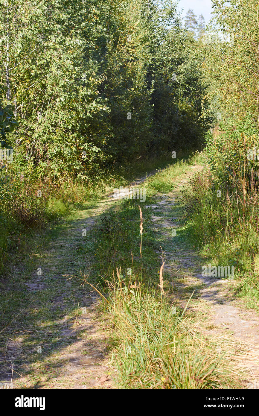 View of road through forest hi-res stock photography and images - Alamy