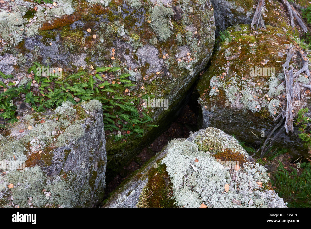 Old bedrock and boulders hi-res stock photography and images - Alamy