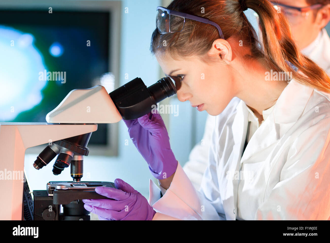 Life scientist researching in the laboratory Stock Photo - Alamy