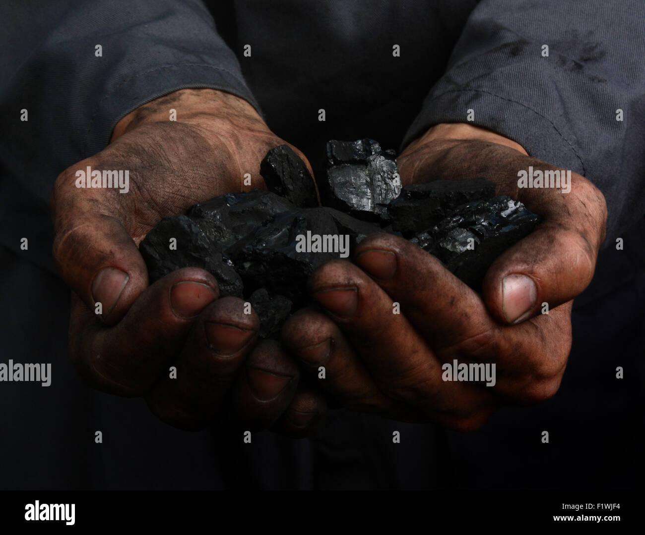 Coal in the hands of a miner Stock Photo - Alamy
