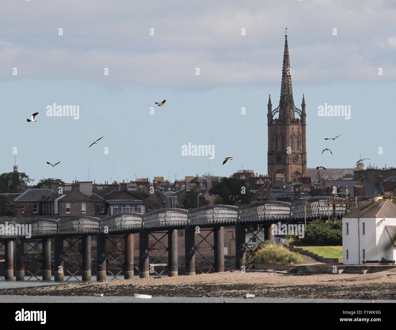 Montrose steeple hi-res stock photography and images - Alamy