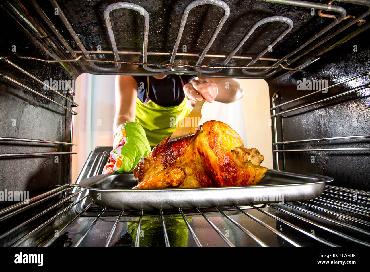 Housewife prepares roast chicken in the oven, view from the inside of ...