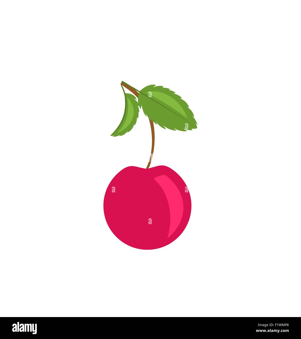 Single Cherry with Green Leaves Isolated Stock Vector Image & Art - Alamy