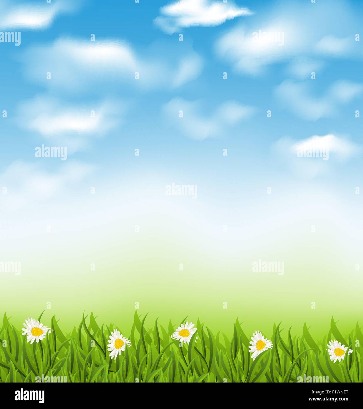 Spring natural background with blue sky, clouds, grass field and Stock ...