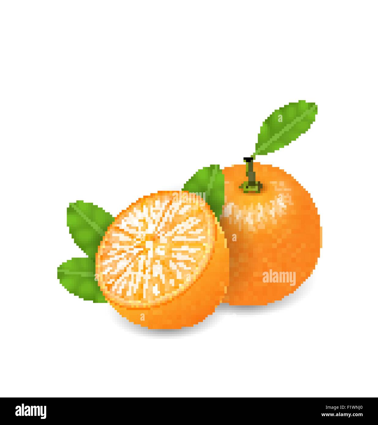 Photo Realistic Set Orange Fruits Stock Vector Image & Art - Alamy