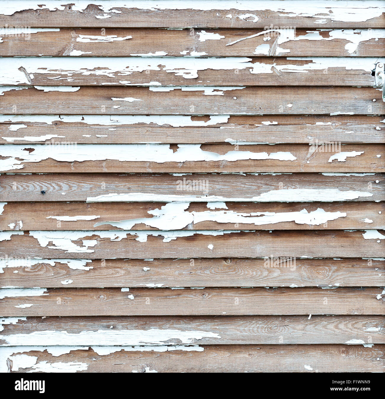 Old white weathered wooden background Stock Photo - Alamy