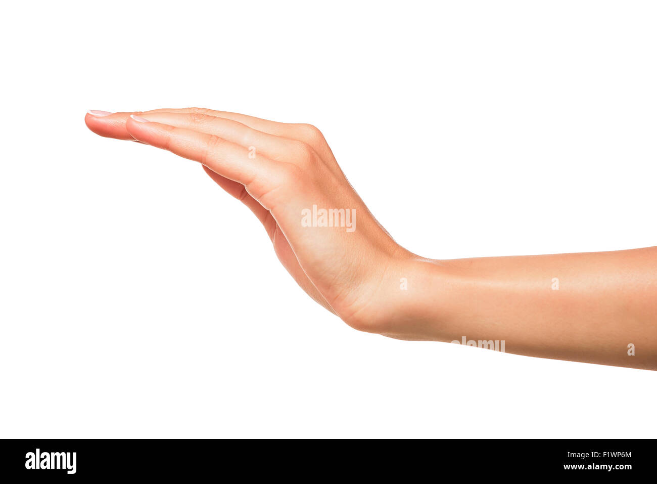 Woman open hand Stock Photo - Alamy