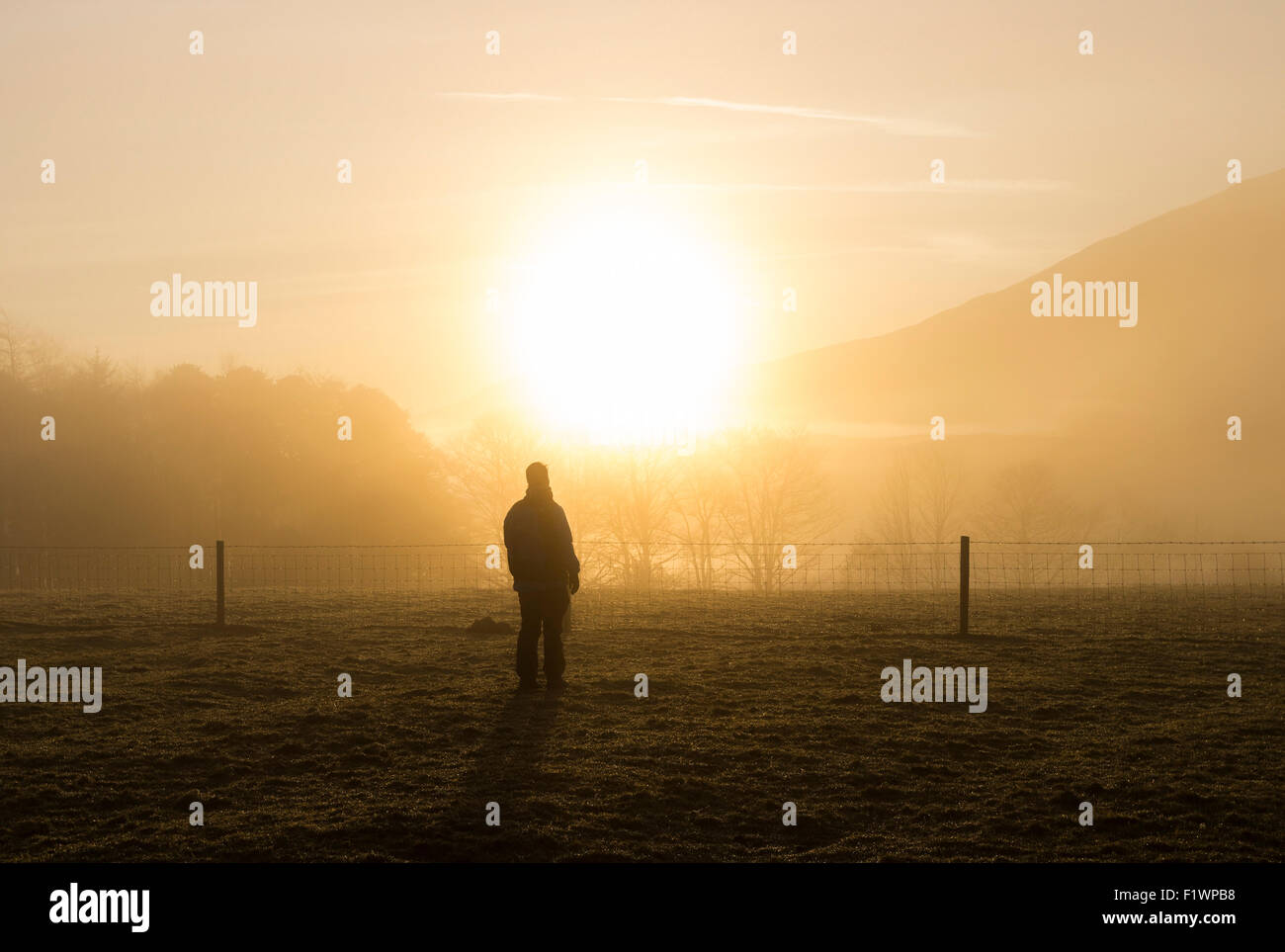 Woman hiker watching beautiful hi-res stock photography and images - Alamy