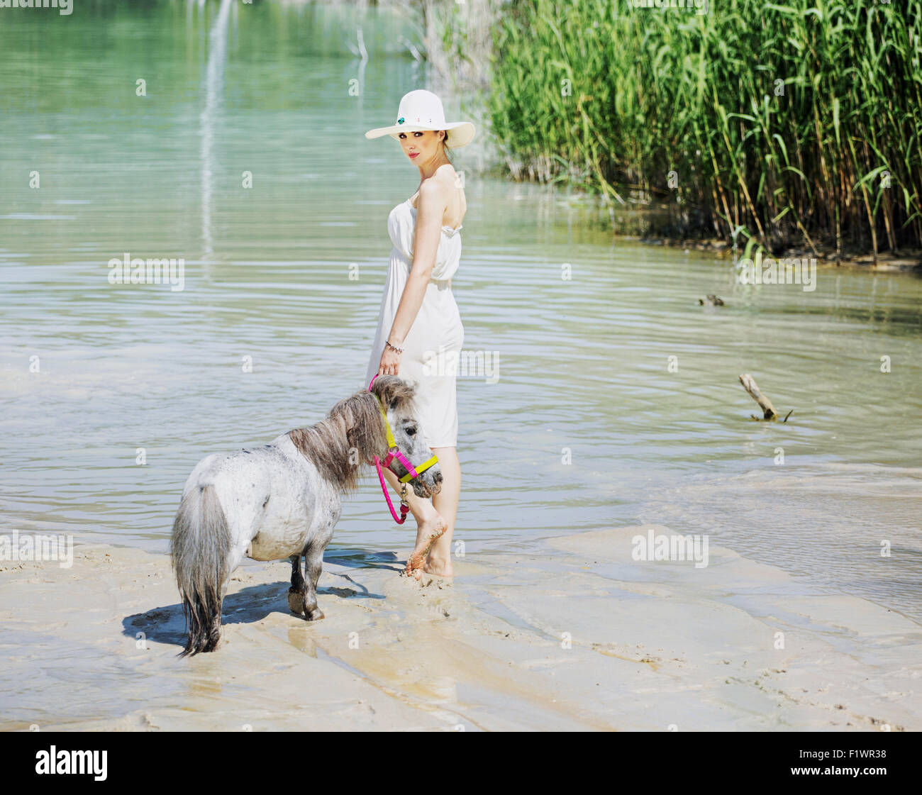 Smart lady walking with the little pony Stock Photo - Alamy